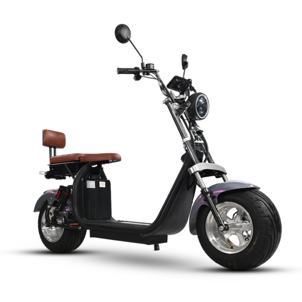 X-Buddy - Bashi Motors